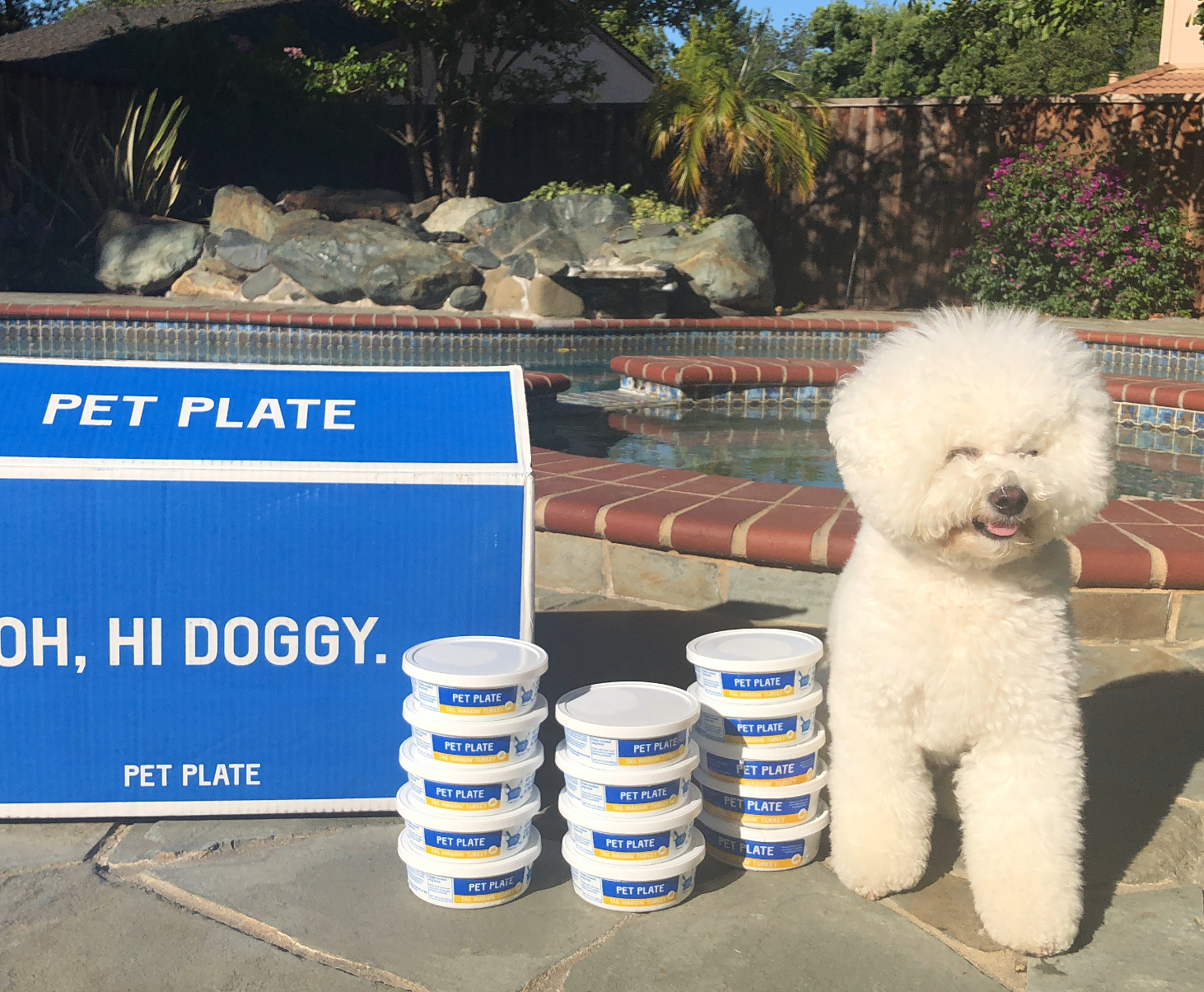 TREAT YOUR PUP TO A RELAXING SPA DAY | PetPlate